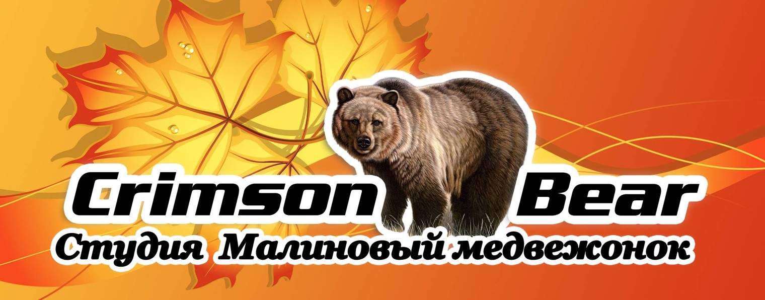 Студия "Малиновый медвежонок"