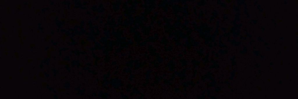 Ищем приключения вместе