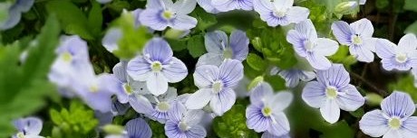 Елена Каменских