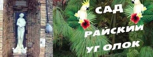 Наталья Лежнина