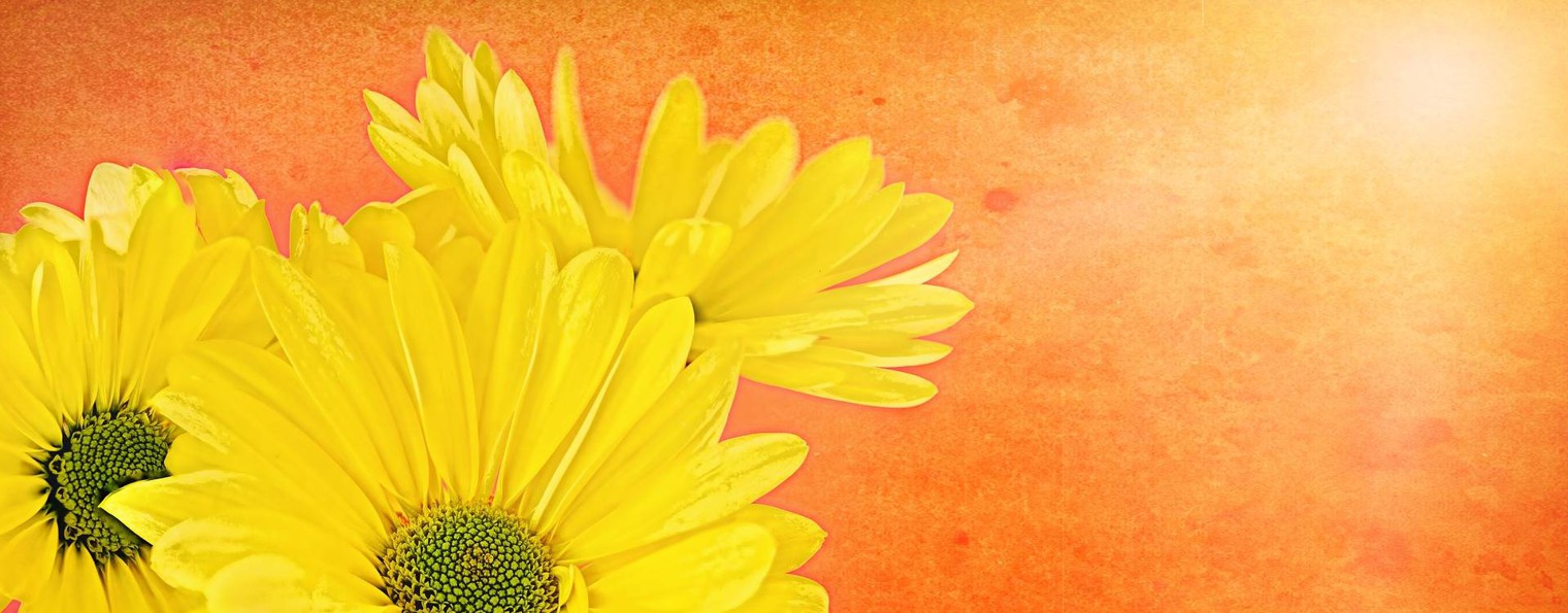 Музыкальные странички