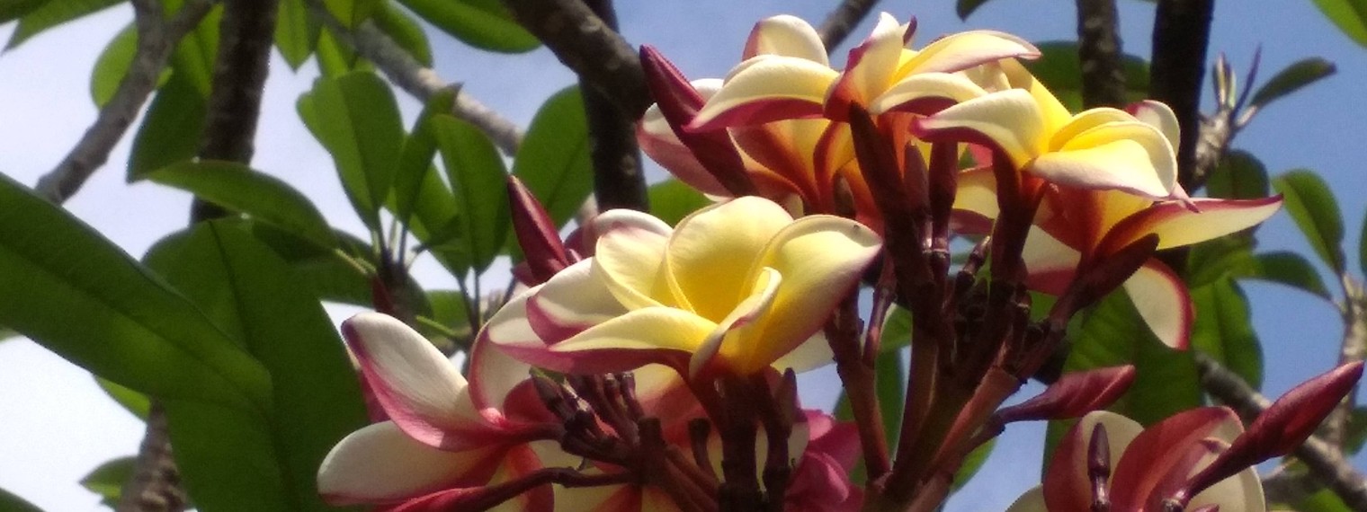 Чуточку обо всём.