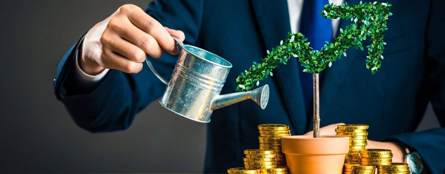 Разумная Инвестиция