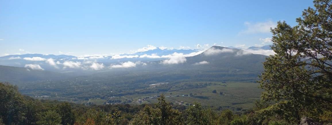 Звезда Дона