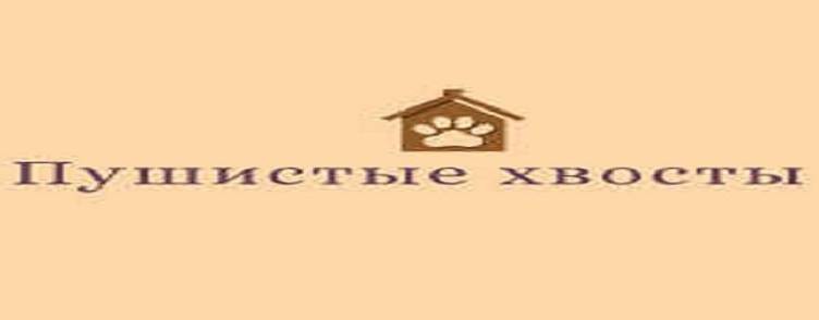 Котики и пёсики