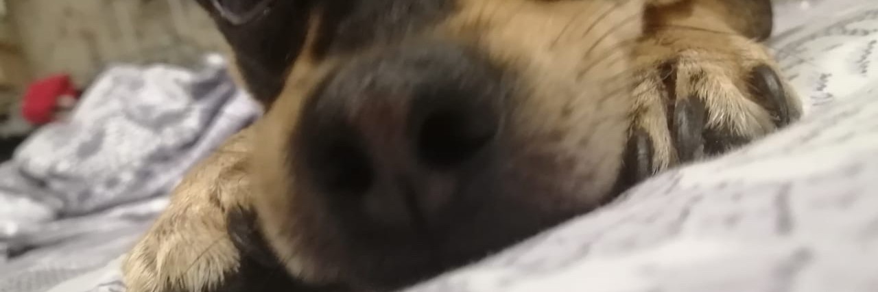 СТРОИМ САМИ