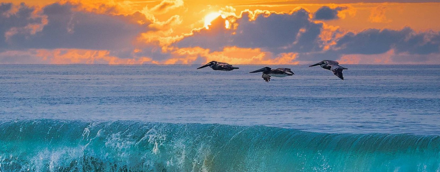 Игнатьева Ольга