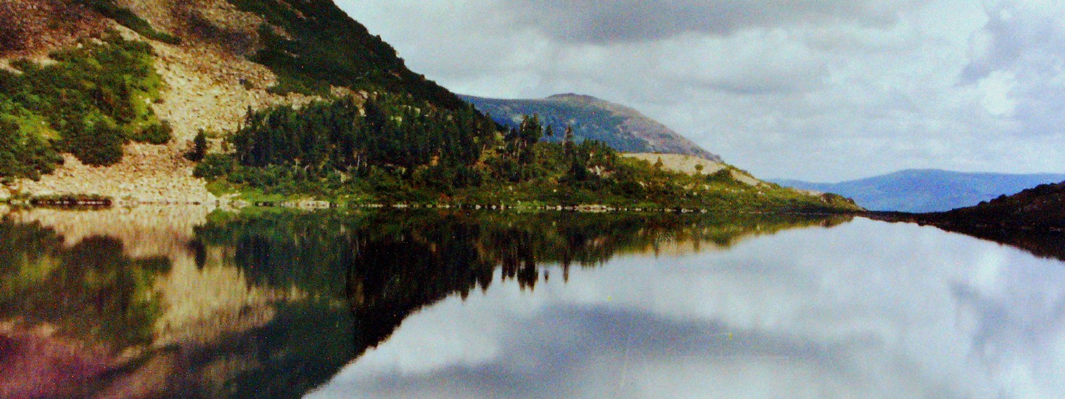 Канал Владимира Шарейко