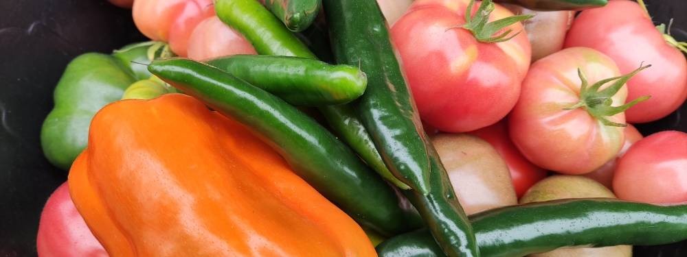 Наша Ваша Кухня