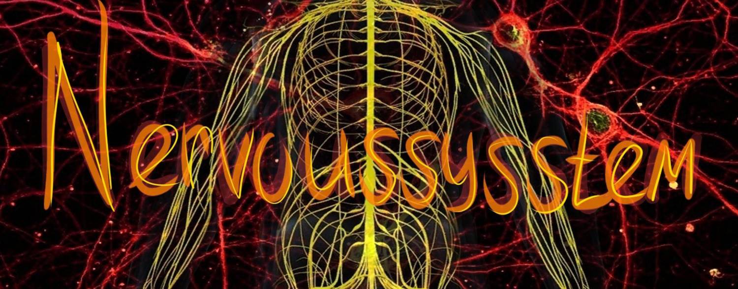 NervousSyssteM