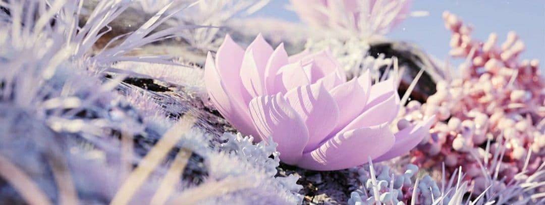 Мир Высоких Частот