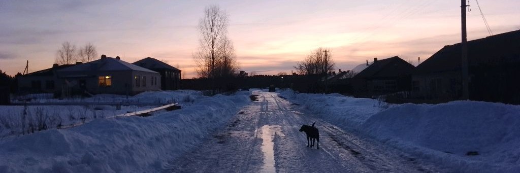 Rutube Политика