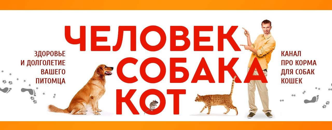 ЧЕЛОВЕК, СОБАКА, КОТ