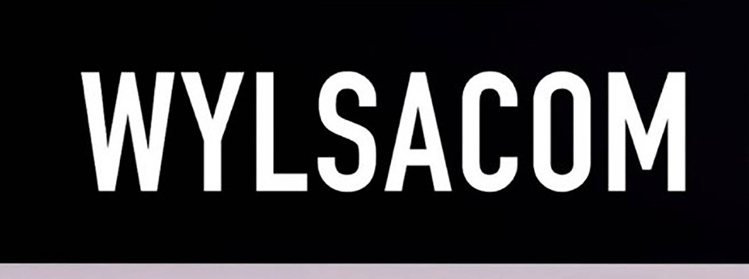 Wylsacom