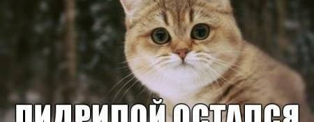 52 всем нашим