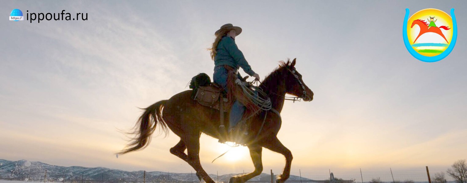 Центр иппотерапии для детей и взрослых