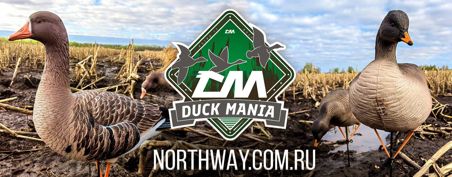 Duck Mania