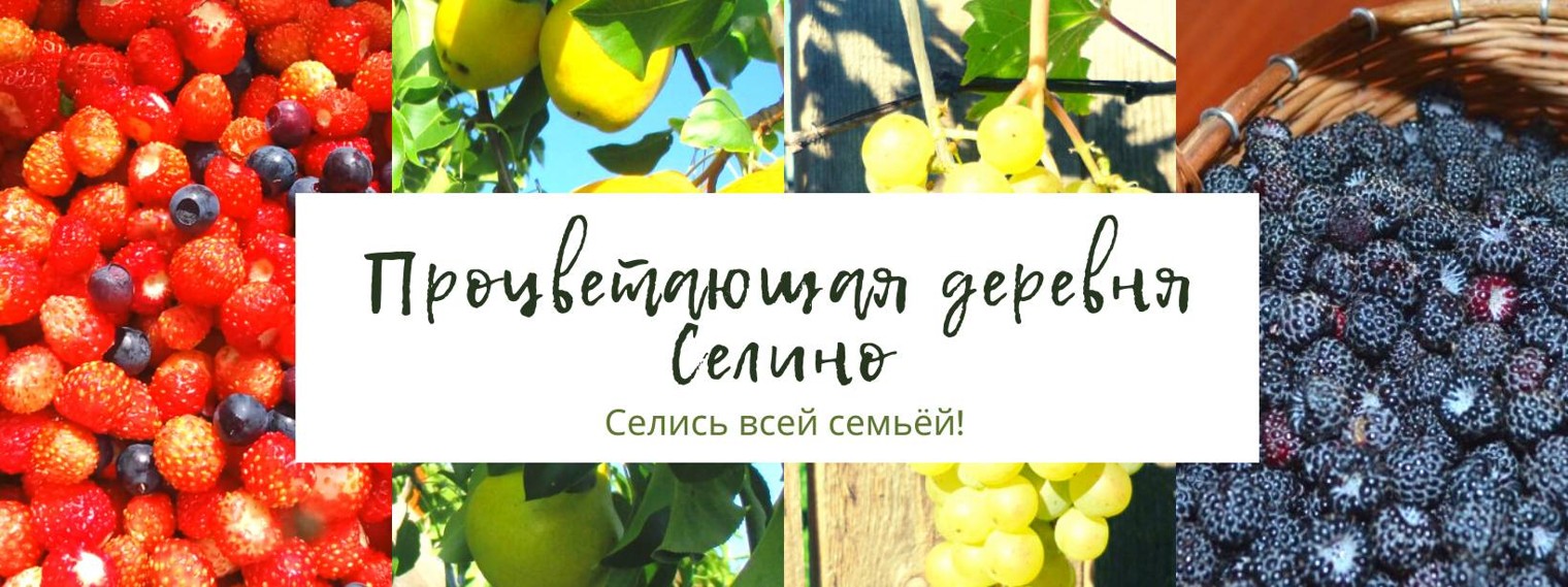 Семейное село