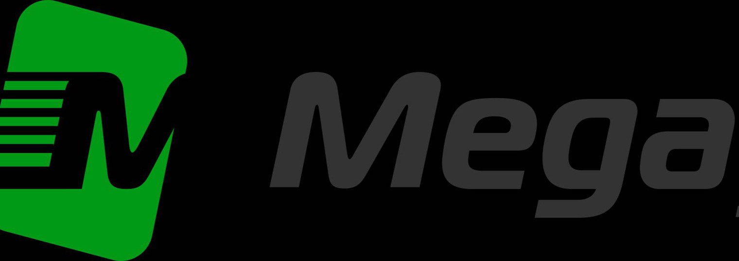 MegaInsight Academy