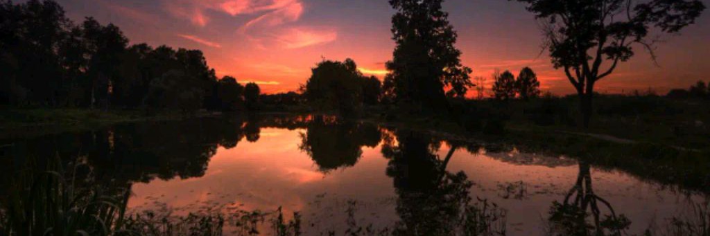 Гармонист Александр Пузырёв.