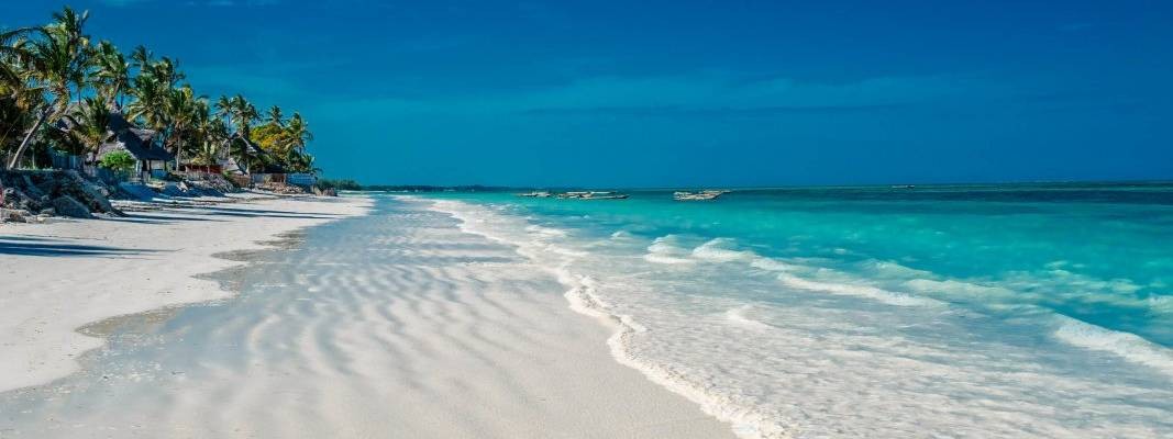 Pro Путешествия