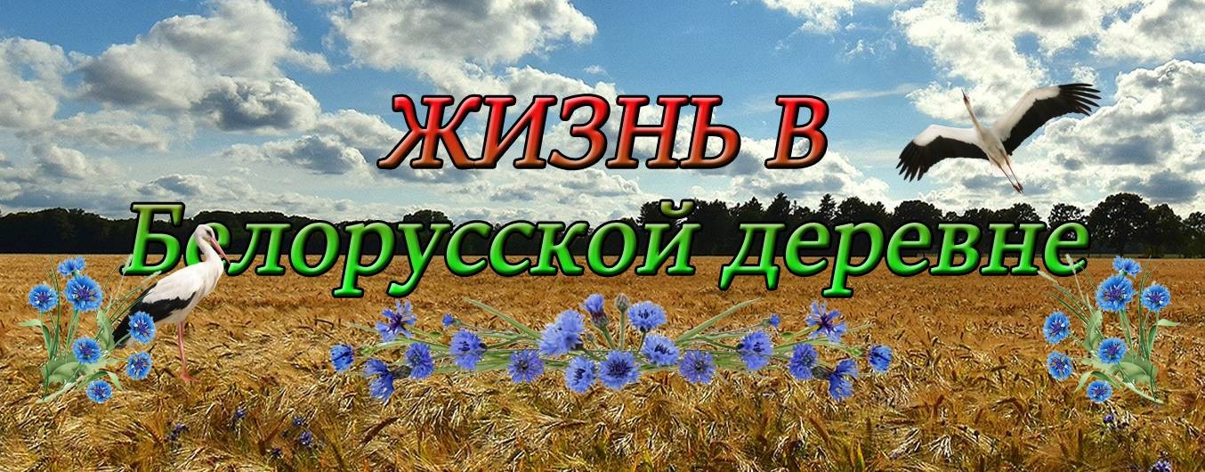 Из Столицы в Деревню/Семья Ковалёвых