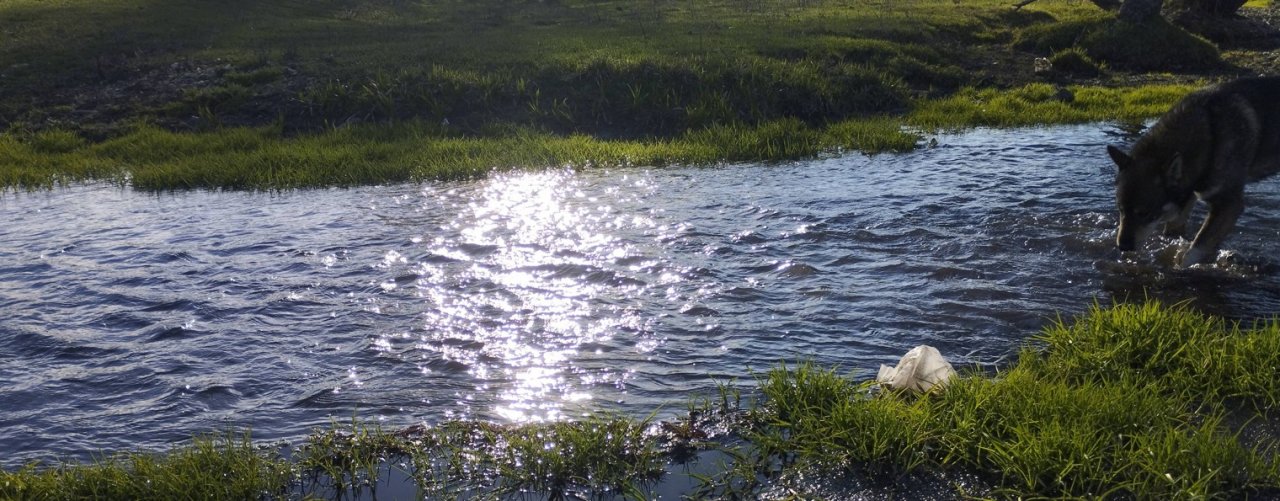 Диагноз: ОХОТНИК 64