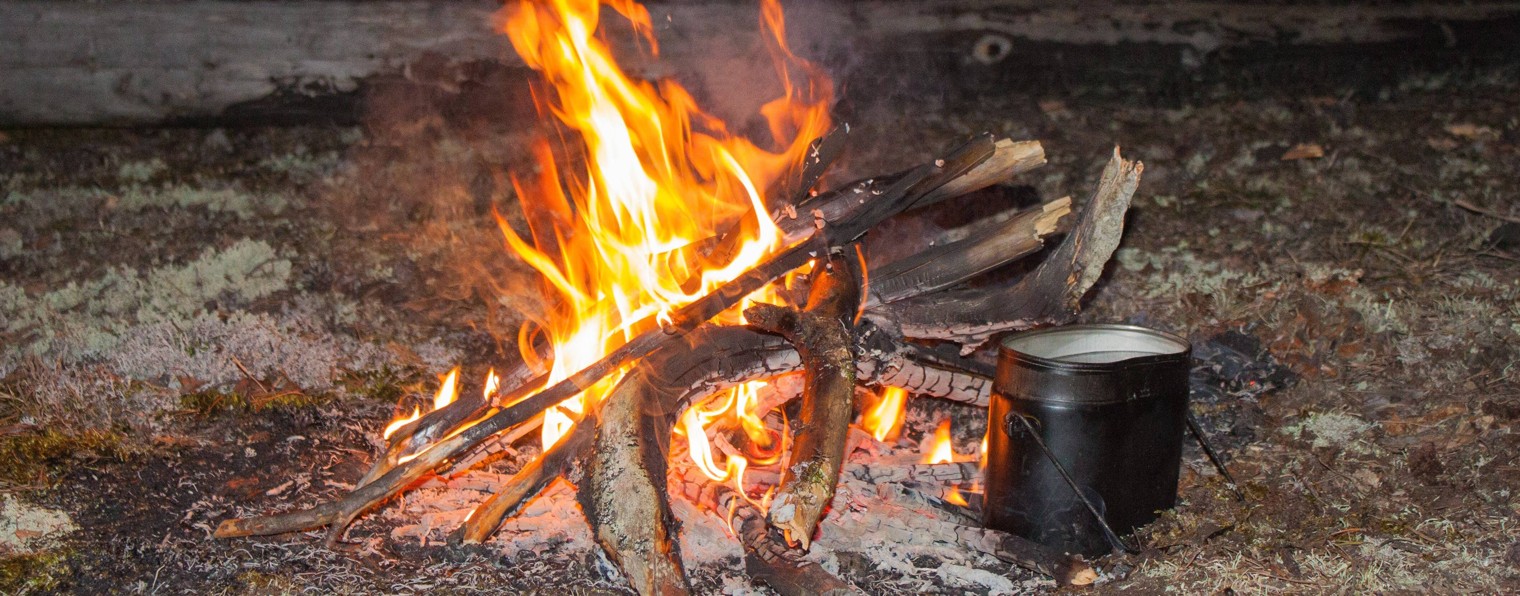 Лес в рюкзаке