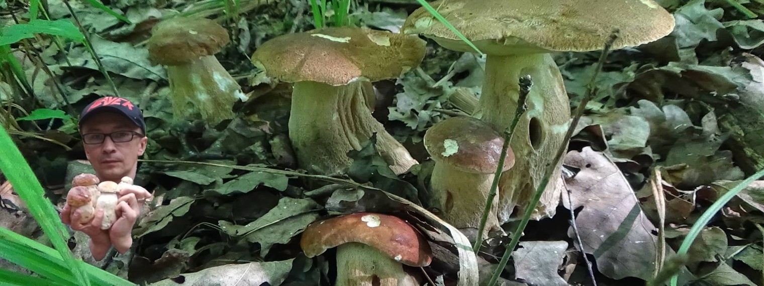 КорзинаСисадмина