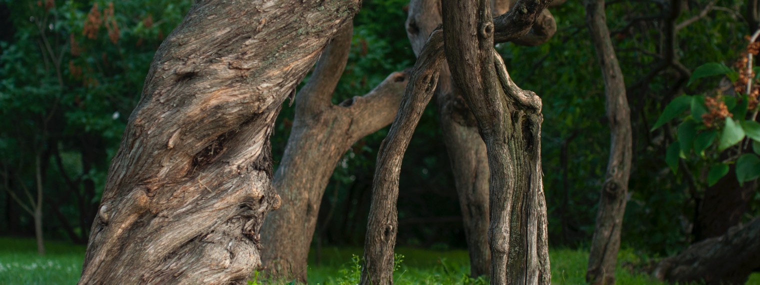 АлексЮстус