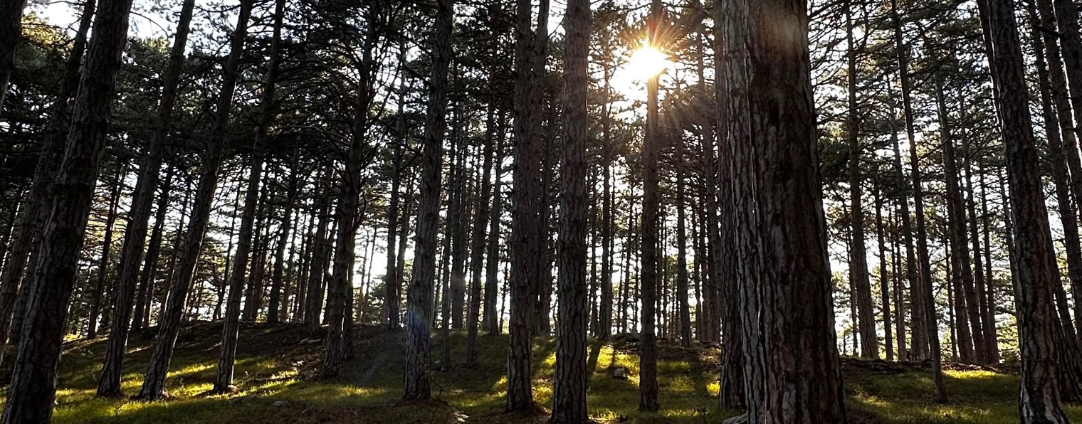 Где Я? | Евгения Бойко