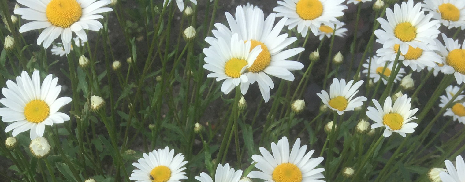 Татьяна Серышева