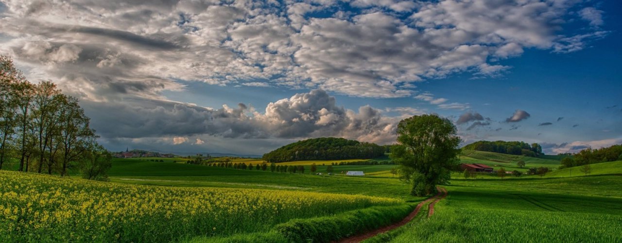 Музыка Звучит