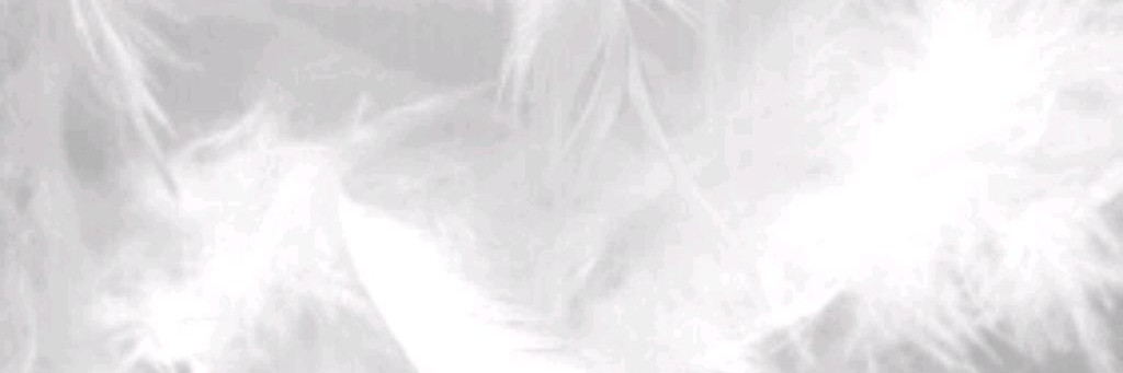 БЕЛАЯ ВОРОНА