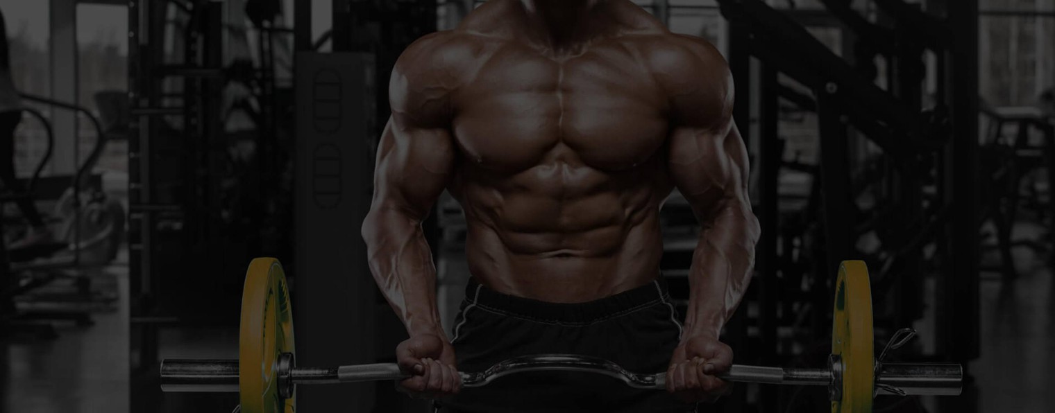 EkatFit