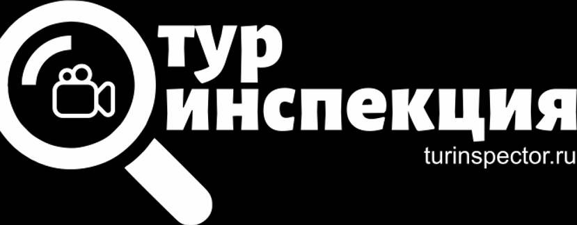 turinspector.ru