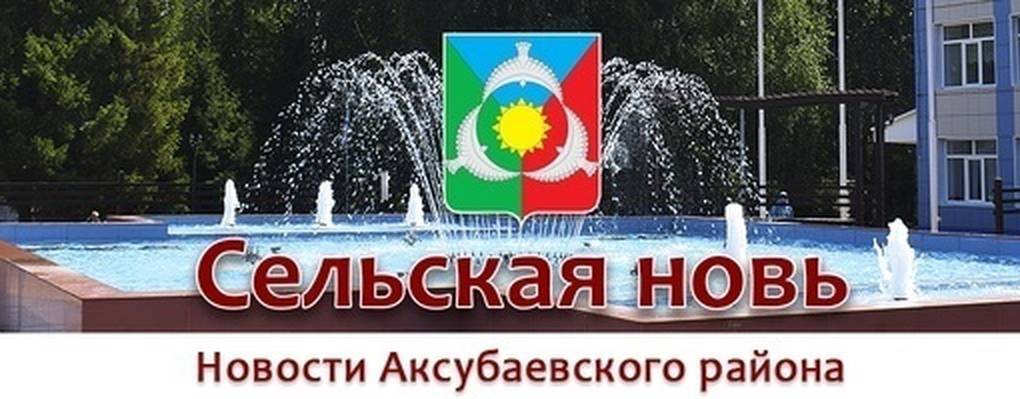 Сельская новь