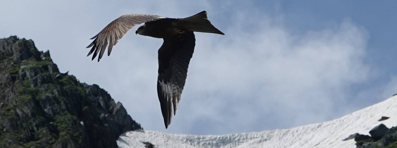 ВАСИЛИЙ БОГДАН