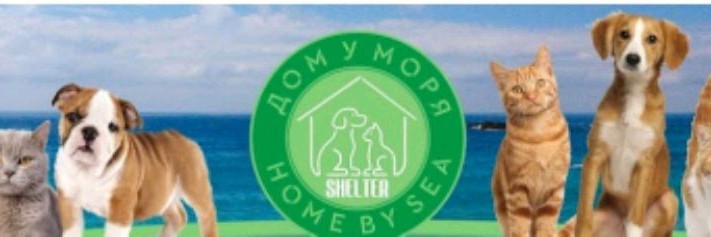 Приют Дом у Моря