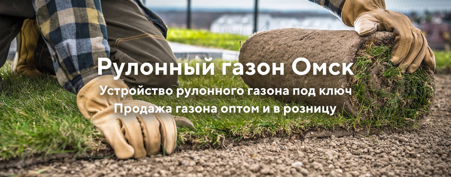 Рулонный газон Омск