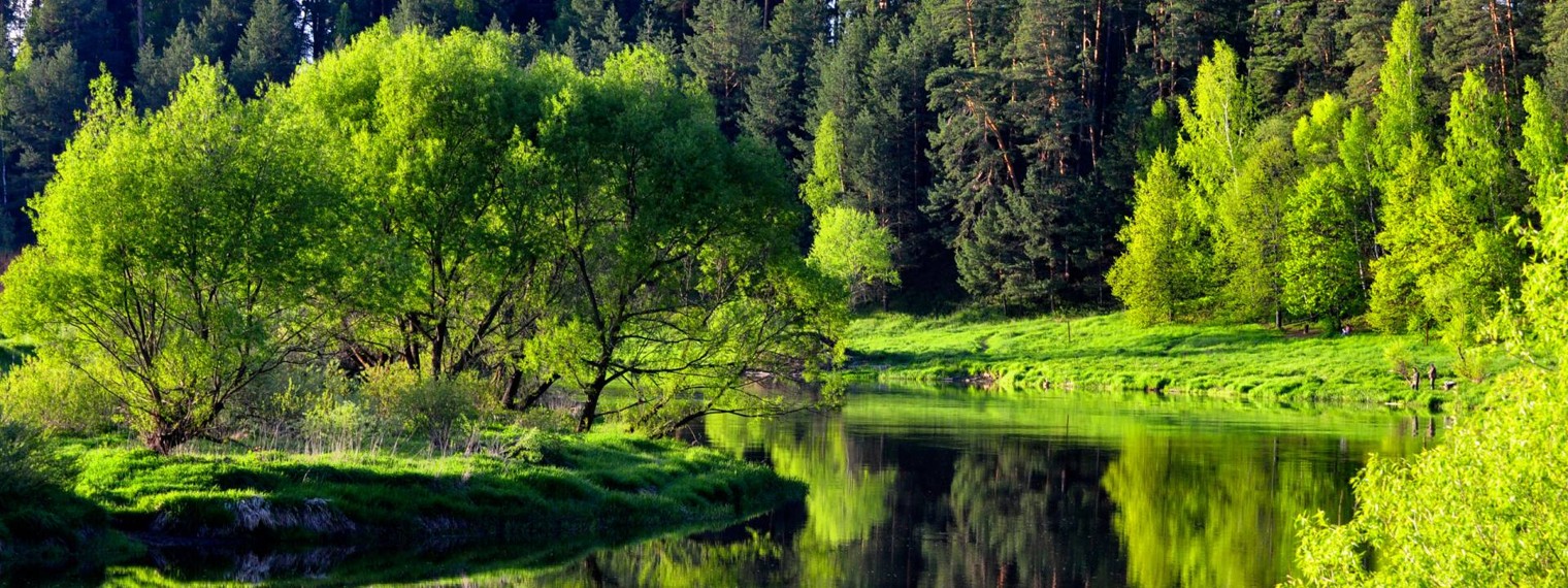 Природа и музыка