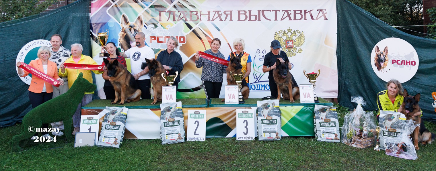 Софтнесс Флинт питомник немецких овчарок