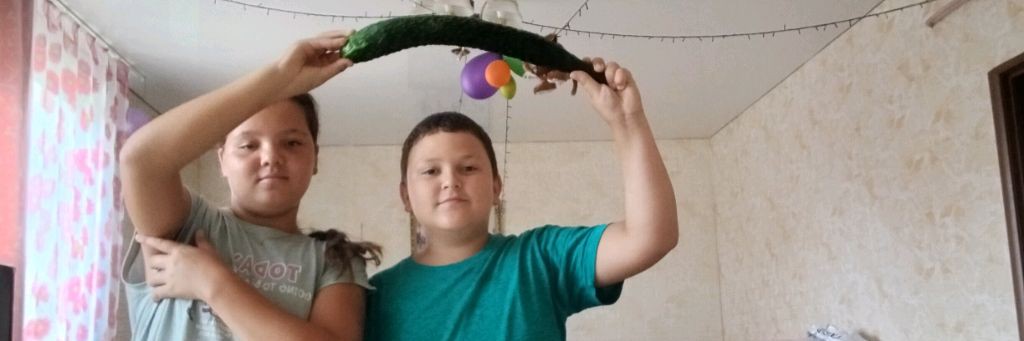 Хомяк все что подряд