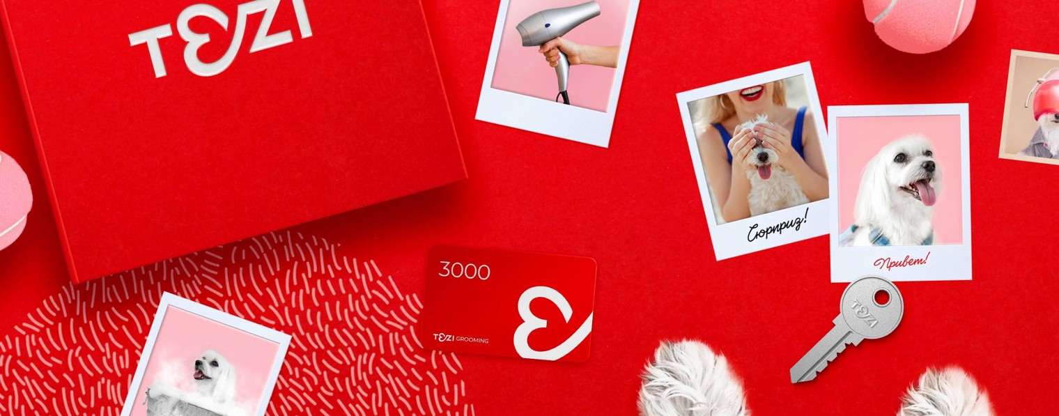 TEZI Grooming & Store