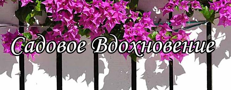 Смысл жизни!