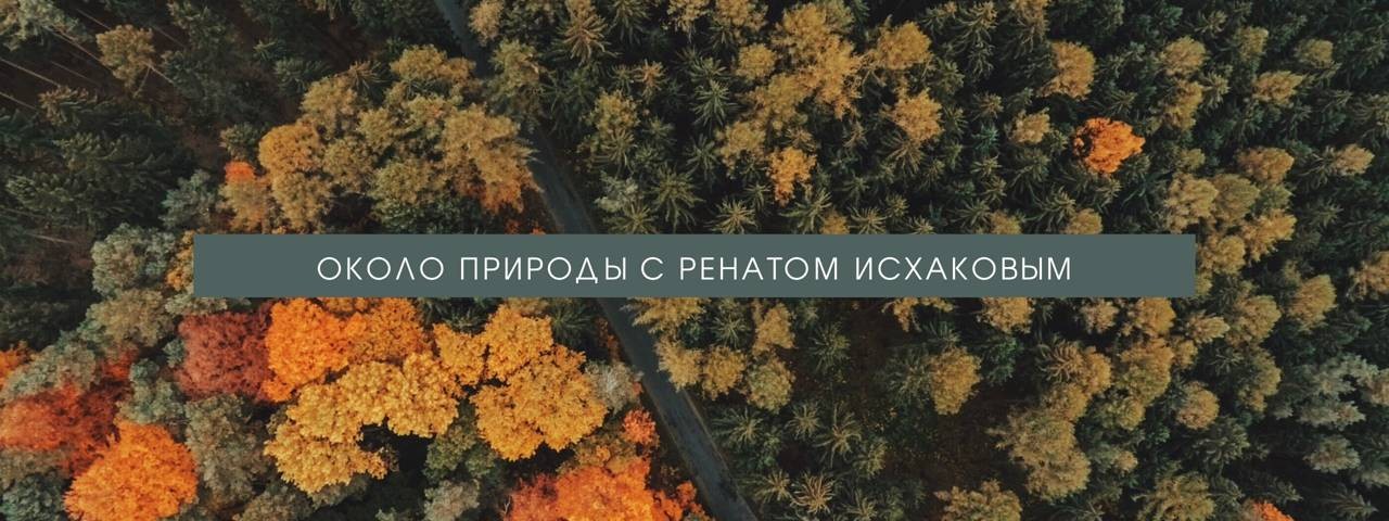 Около природы с Ренатом Исхаковым