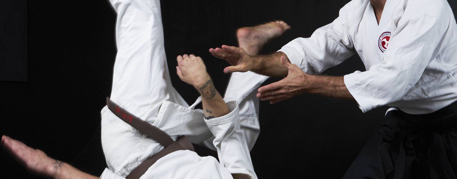 Айкидо Ёсинкан