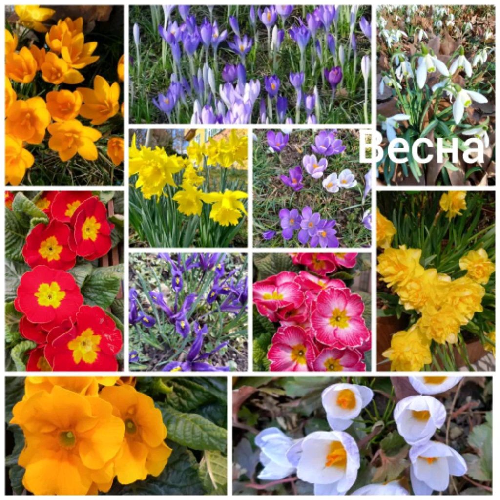 59 секунд. 59 sekonds. 59 secondi. 59 sekunden.