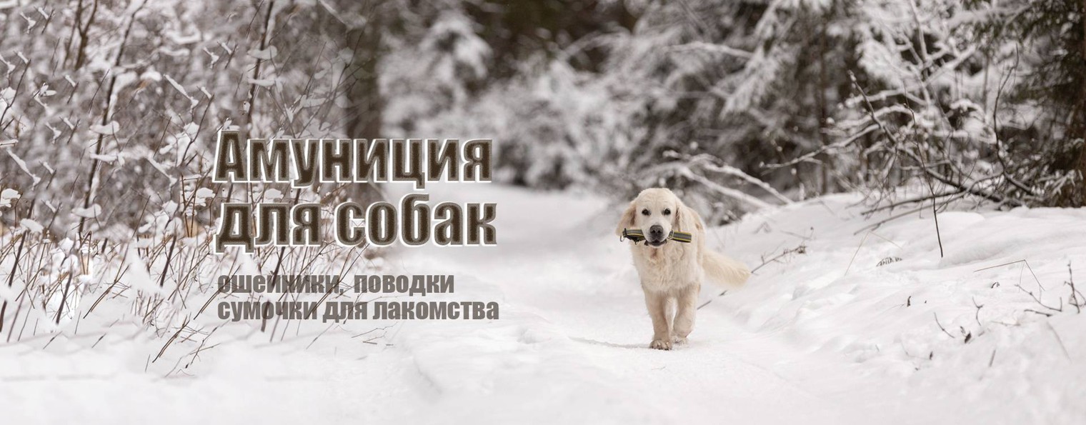 Ошейники, поводки и другая амуниция для собак