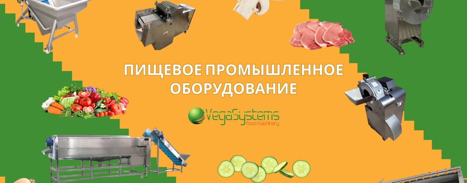 VegaSystems